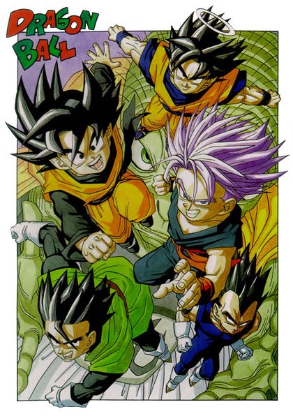 The Dragon Ball Z Network, Pictures